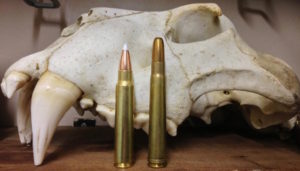 .375 Ruger: An Up And Coming Dangerous Game Cartridge?