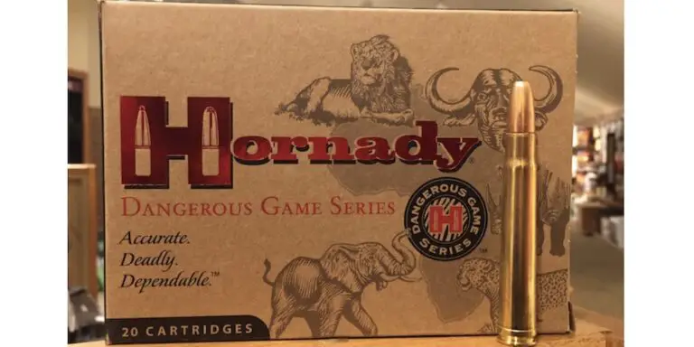 .375 H&H Magnum: Ultimate Guide To What You Need To Know in 2024