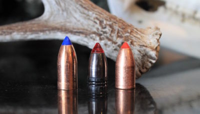 11 Best Deer Hunting Calibers - Big Game Hunting Blog