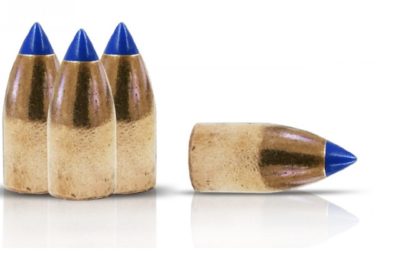 19 Best Muzzleloader Bullets For Hunters (2025)