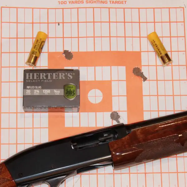 What Is A Paradox Gun?