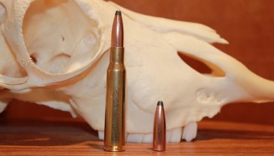 The 7mm Mauser: A Classic Hunting Masterpiece