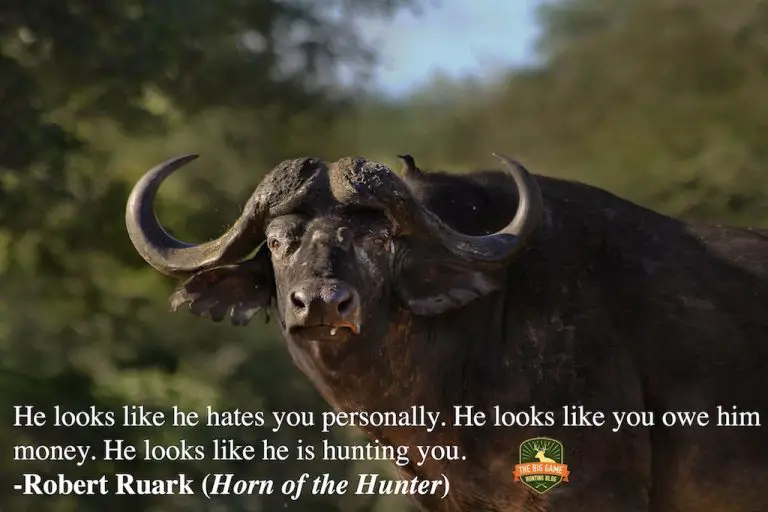 23 Best Hunting Quotes: They'll Change How You View Hunting