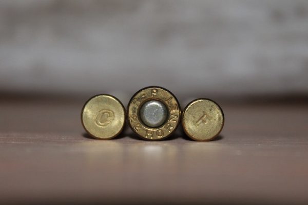22 Hornet: A Small Cartridge With A Potent Sting