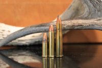 22 Hornet: A Small Cartridge With A Potent Sting