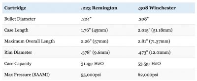 223 vs 308: Which Is Better For You?