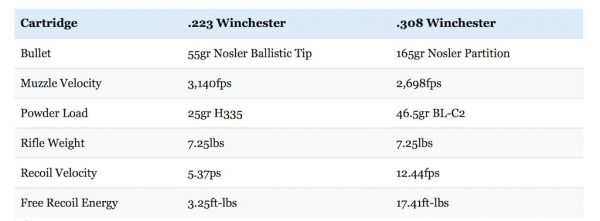 223 vs 308: Which Is Better For You?
