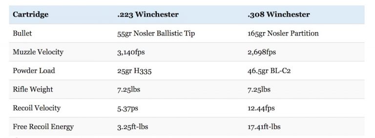 223 vs 308: Which Is Better For You?