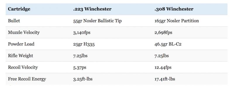 223 vs 308: Which Is Better For You?