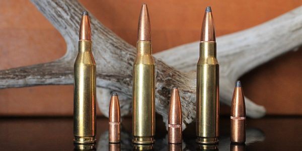 11 Best Deer Hunting Calibers