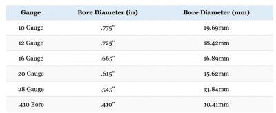 Shotgun Gauges Explained: 10 vs 12 vs 16 vs 20 vs 28 vs 410