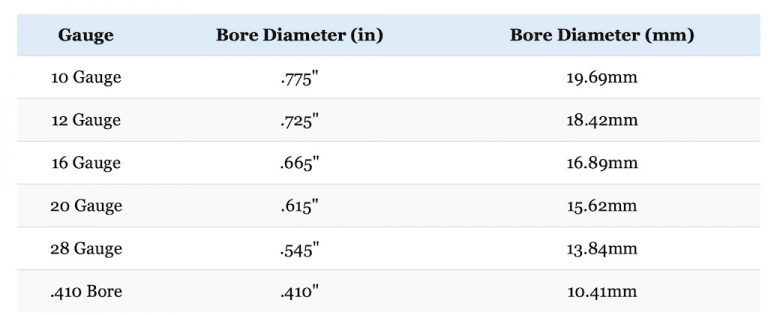 Shotgun Gauges Explained: 10 vs 12 vs 16 vs 20 vs 28 vs 410