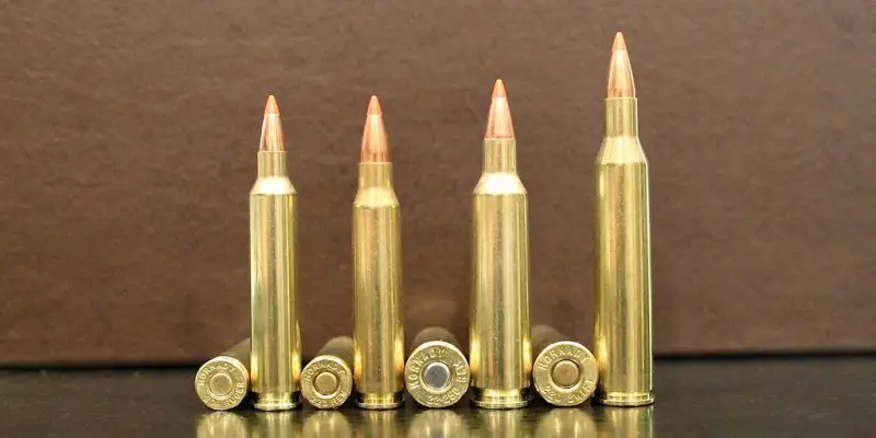 22-250 vs 223 vs 204 Ruger vs 220 Swift: Clash Of The Speed Demons