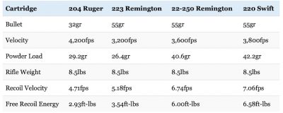 22-250 vs 223 vs 204 Ruger vs 220 Swift: Clash Of The Speed Demons