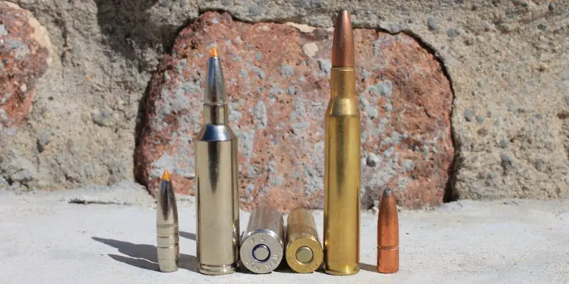 270 WSM, 7mm WSM, 300 WSM, & 325 Winchester Short Magnums Analyzed