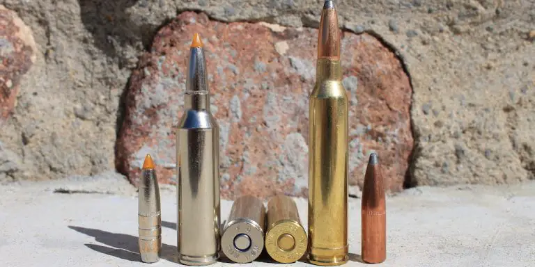 270 WSM, 7mm WSM, 300 WSM, & 325 Winchester Short Magnums Analyzed