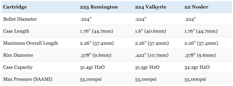 224 Valkyrie: Should You Buy One?