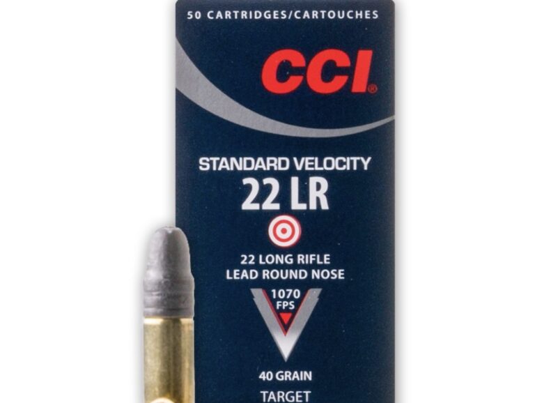 Best 22LR Ammo For Hunting, Plinking, Target Shooting & More
