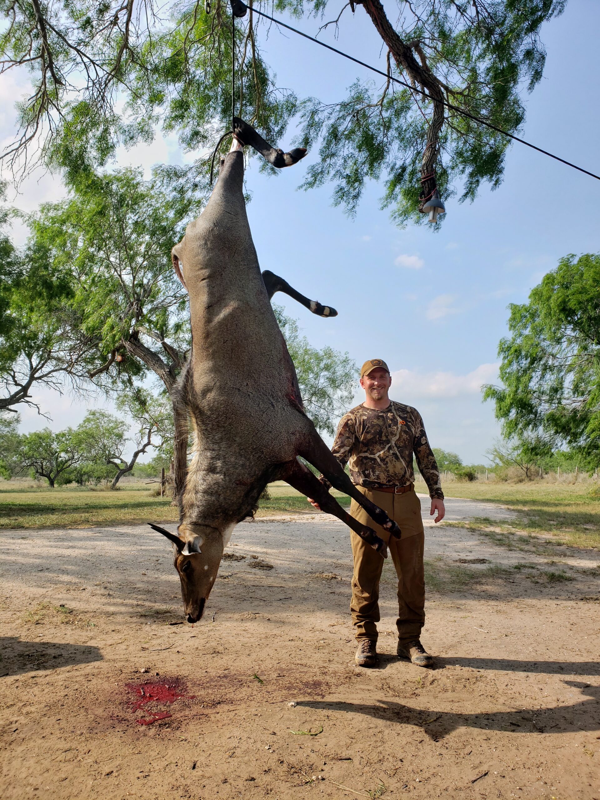 Ep 79: Cable Smith On Nilgai Hunting