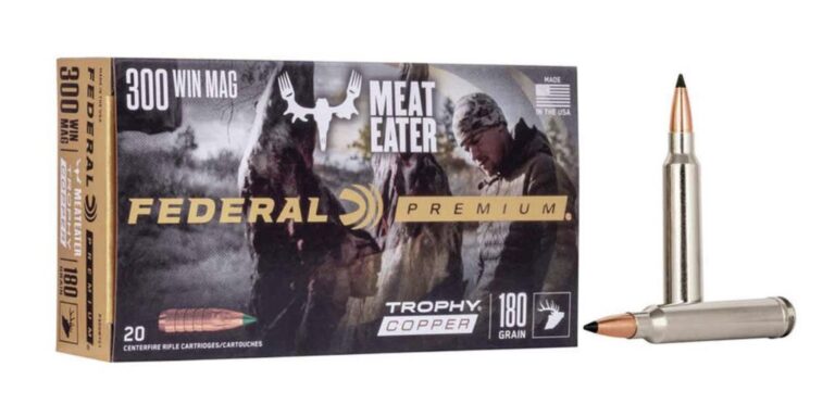 Best .300 Win Mag Ammo For Hunting Elk, Deer & Other Big Game