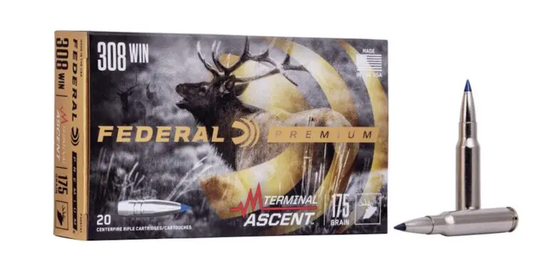 Best 308 Ammo For Hunting Deer, Elk, Hogs, & Other Game