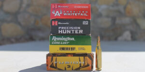 Best 243 Ammo For Hunting Deer, Hogs, & Varmints