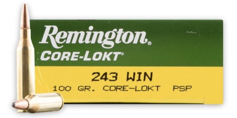 Best 243 Ammo For Hunting Deer, Hogs, & Varmints