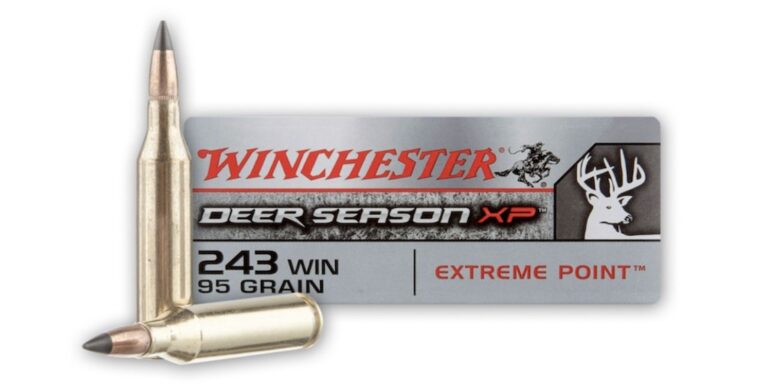 Best 243 Ammo For Hunting Deer, Hogs, & Varmints