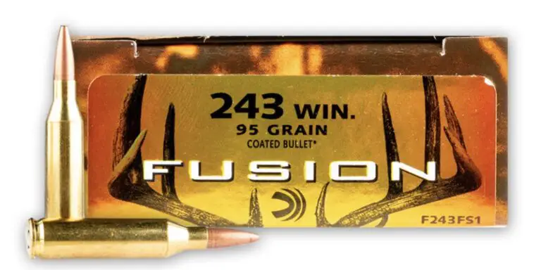 Best 243 Ammo For Hunting Deer, Hogs, & Varmints