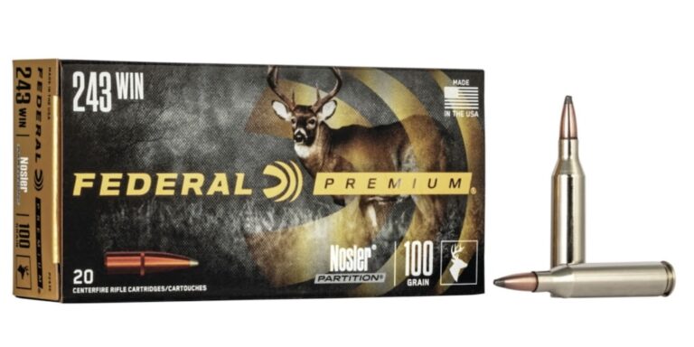 Best 243 Ammo For Hunting Deer, Hogs, & Varmints