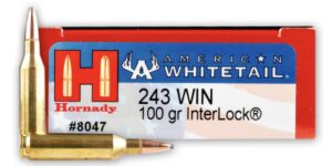 Best 243 Ammo For Hunting Deer, Hogs, & Varmints