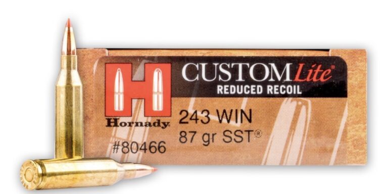 Best 243 Ammo For Hunting Deer, Hogs, & Varmints