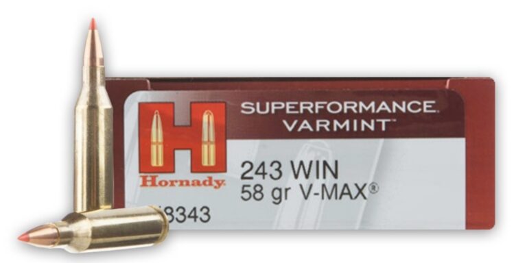 Best 243 Ammo For Hunting Deer, Hogs, & Varmints