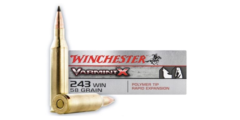 Best 243 Ammo For Hunting Deer, Hogs, & Varmints