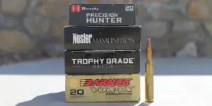Best 270 Ammo For Hunting Deer, Elk, & Other Game