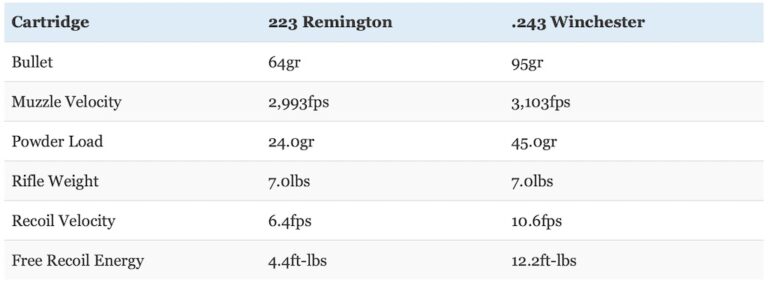 243 vs 223 Review & Comparison
