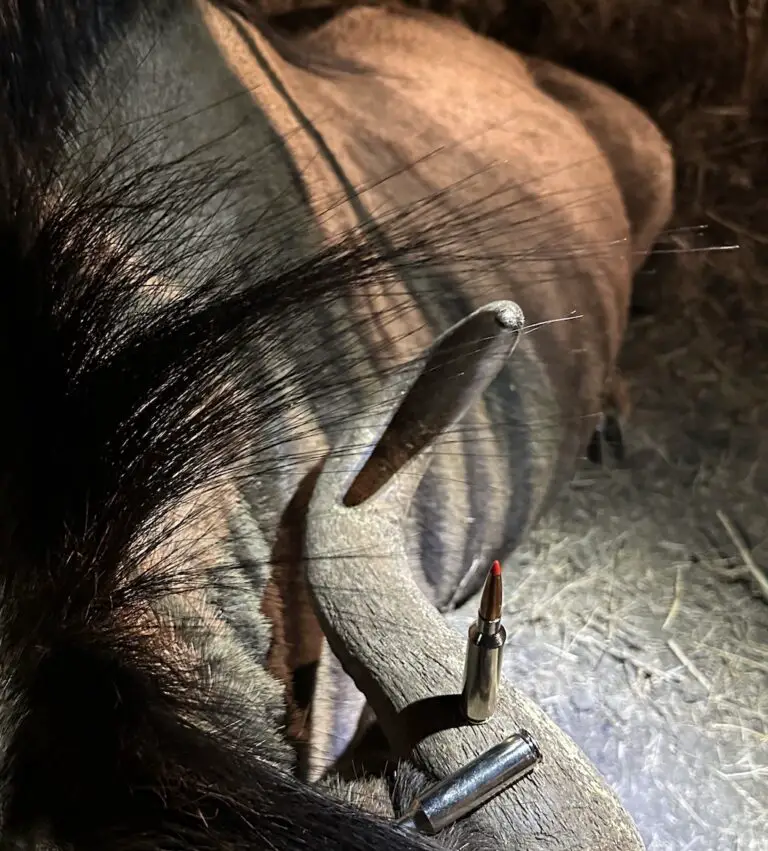 7mm PRC: Complete Guide To Hornady's New Cartridge