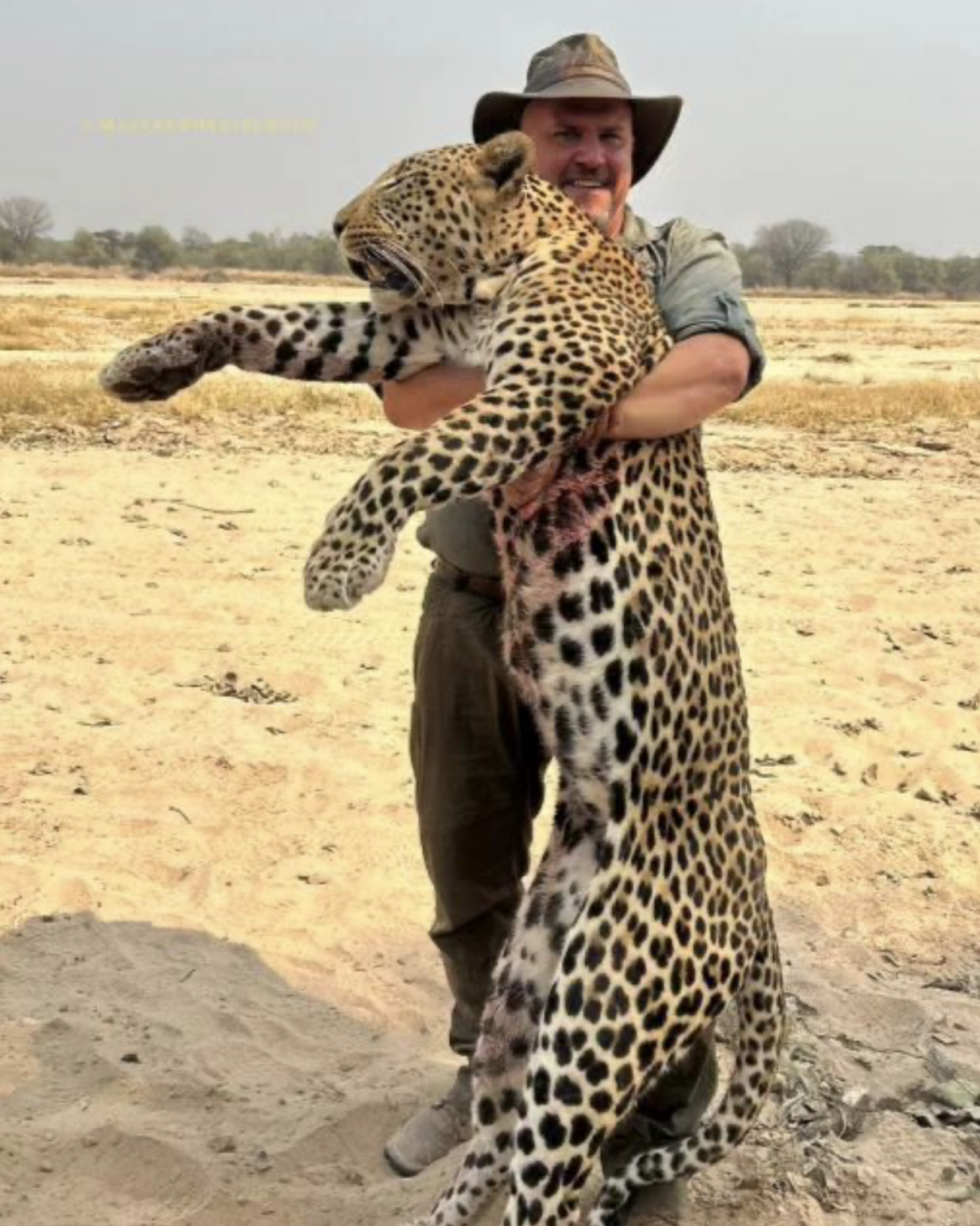 Ep 293: Leopard Hunting With Phil Massaro In Zimbabwe