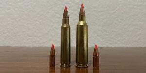 22-250 vs 223 Remington: Which is the best coyote caliber?