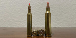 22-250 vs 223 Remington: Which is the best coyote caliber?