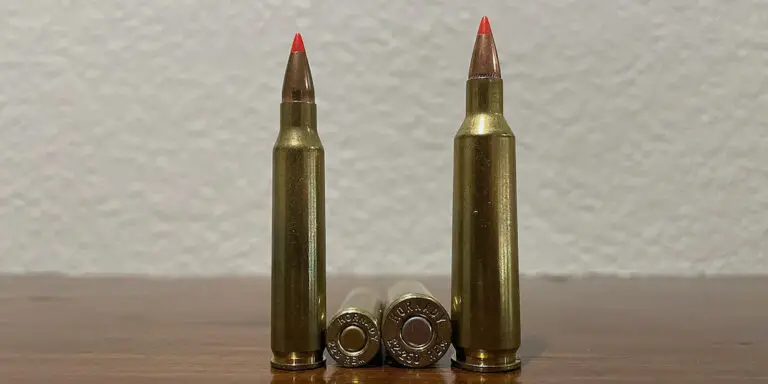 22-250 vs 223 Remington: Which is the best coyote caliber?
