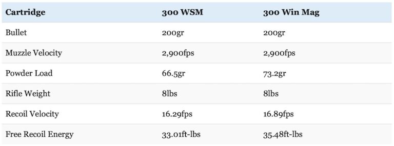 300 WSM vs 300 Win Mag: Ultimate 30 Cal Magnum Comparison