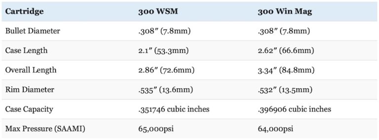 300 WSM vs 300 Win Mag: Ultimate 30 Cal Magnum Comparison