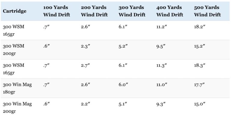 300 WSM vs 300 Win Mag: Ultimate 30 Cal Magnum Comparison - Big Game ...