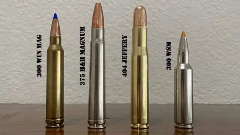 300 WSM vs 300 Win Mag: Ultimate 30 Cal Magnum Comparison