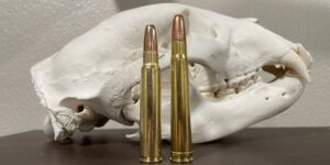 7mm PRC vs 300 Win Mag: Which Magnum Is Best For You?