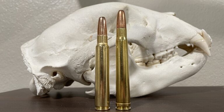 7mm PRC vs 300 Win Mag: Which Magnum Is Best For You?