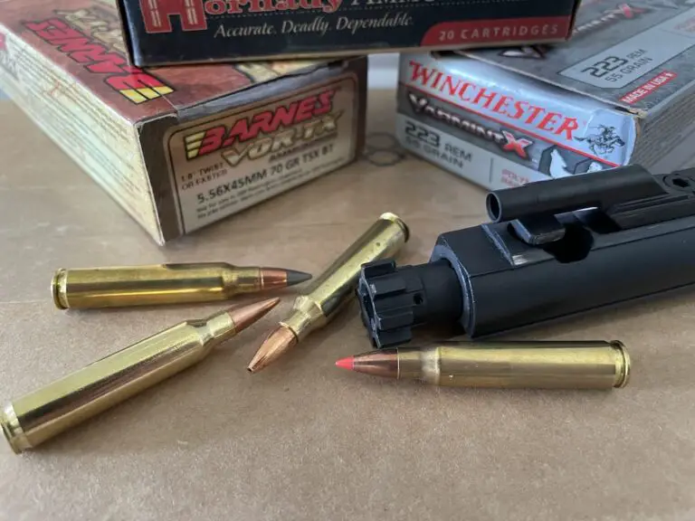 223 vs 5.56: Which One You Should Shoot In Your AR-15?