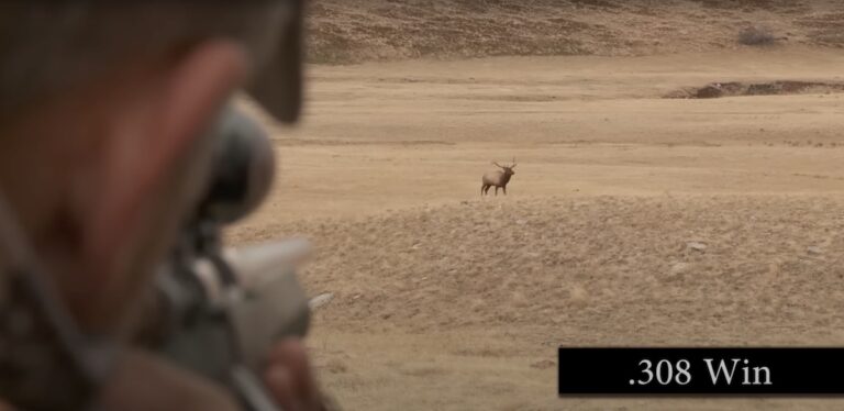 45-70 vs 308 Winchester: Comparing Oranges & Pineapples