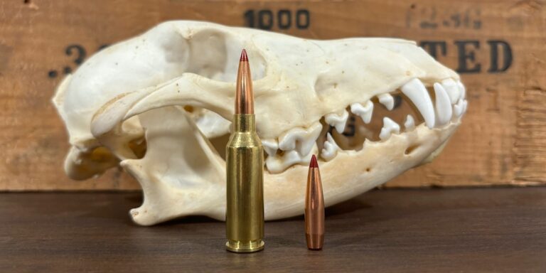 22 ARC: A Review Of Hornady's Hot New Rifle Cartridge